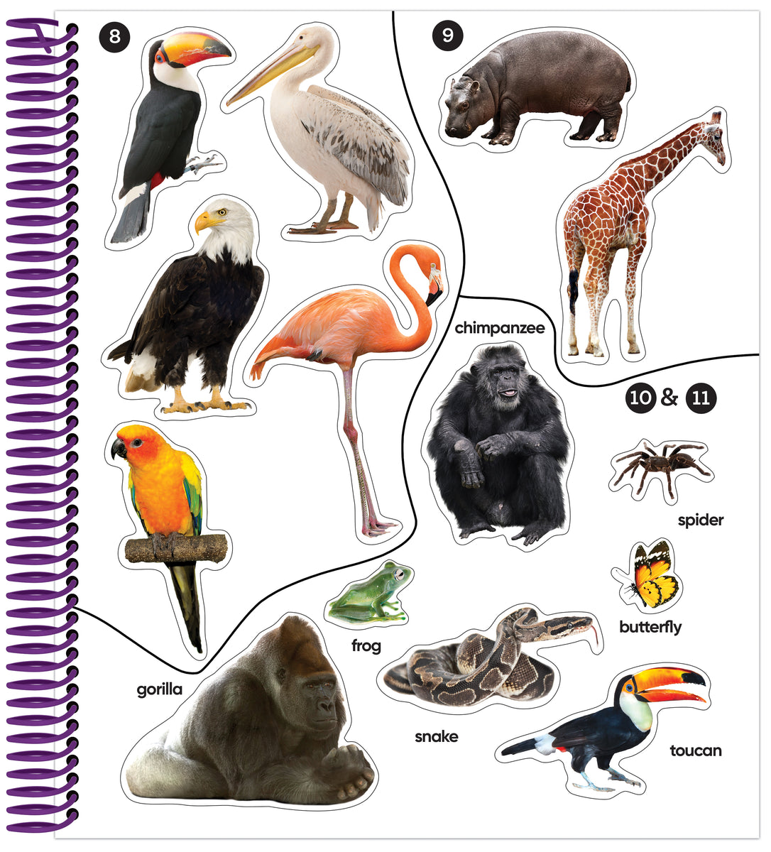Sticker Activity Safari Animals – Little Grasshopper Books